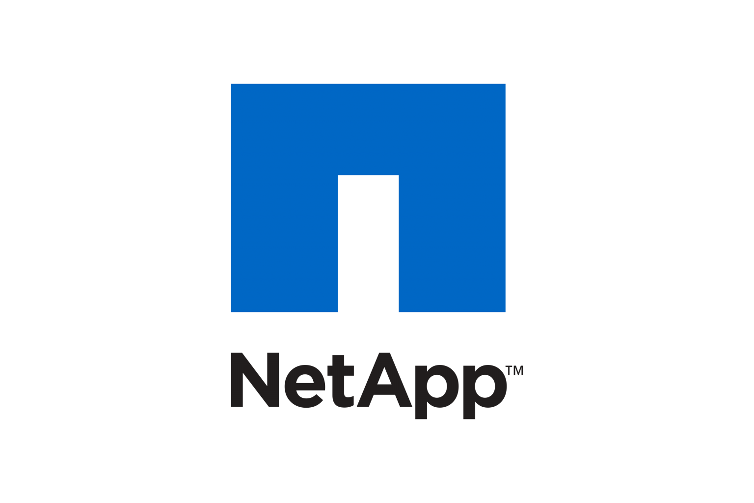 NetApp-Logo.wine - Glyph Language Services